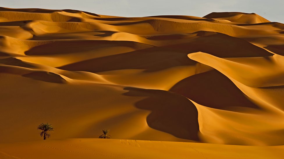 BBC One - Africa, Sahara, In pictures: Sahara - Libya’s Sand Sea