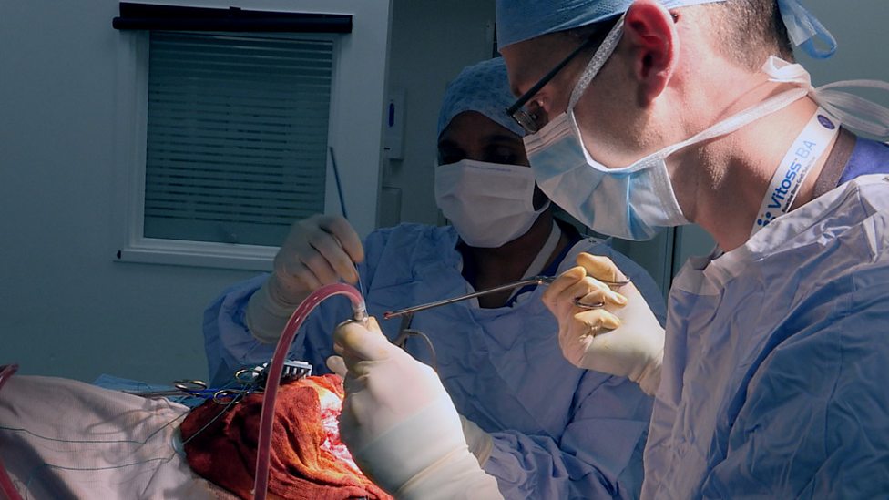 BBC Two - Brain Doctors, Brain Doctors: In Pictures - Brain Doctors: In ...