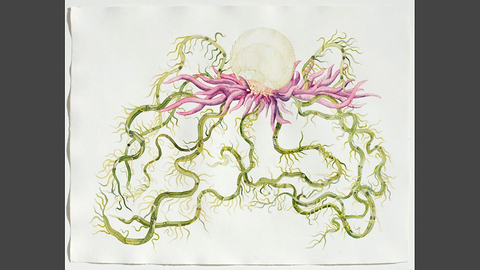 BBC World Service - The Arts Hour, Director Quentin Tarantino, Ellen ...