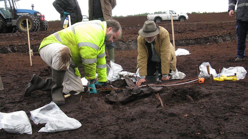 BBC Four - 4,000-Year-Old Cold Case: The Body in the Bog, 4,000 -Year ...