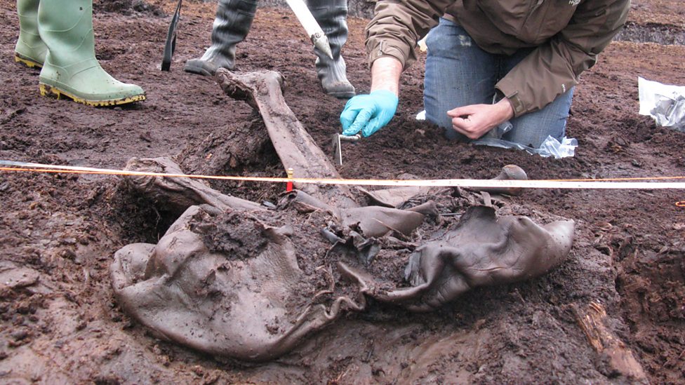 BBC Four - 4,000-Year-Old Cold Case: The Body in the Bog, 4,000 -Year ...