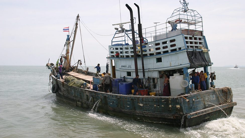 BBC World Service - The Documentary, Thailand’s Slave Fishermen, Modern ...