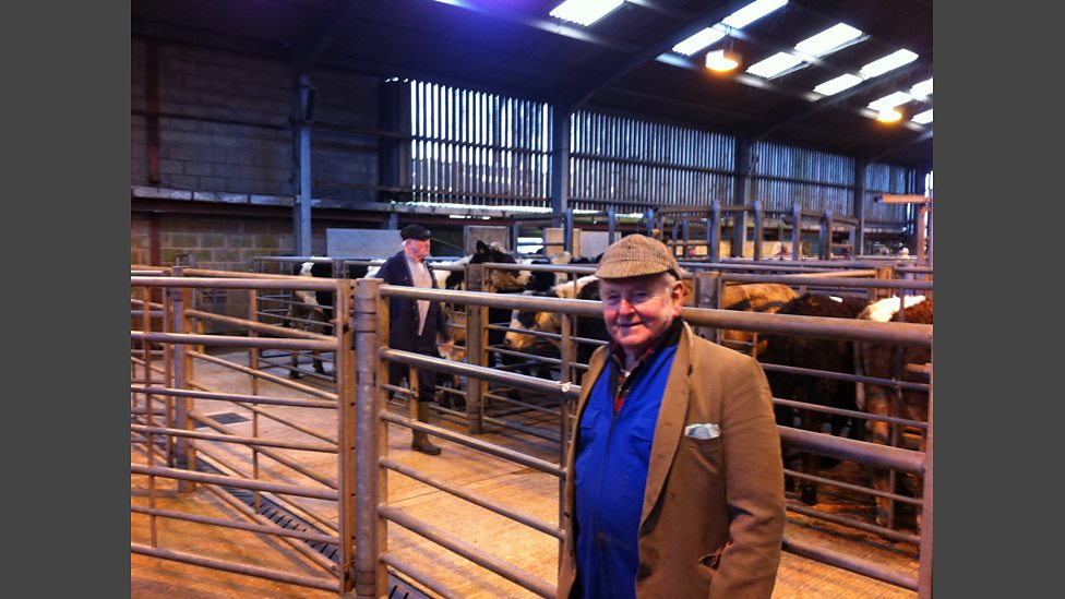 BBC Radio 4 - Open Country, Chelford Cattle Market, Photos from ...