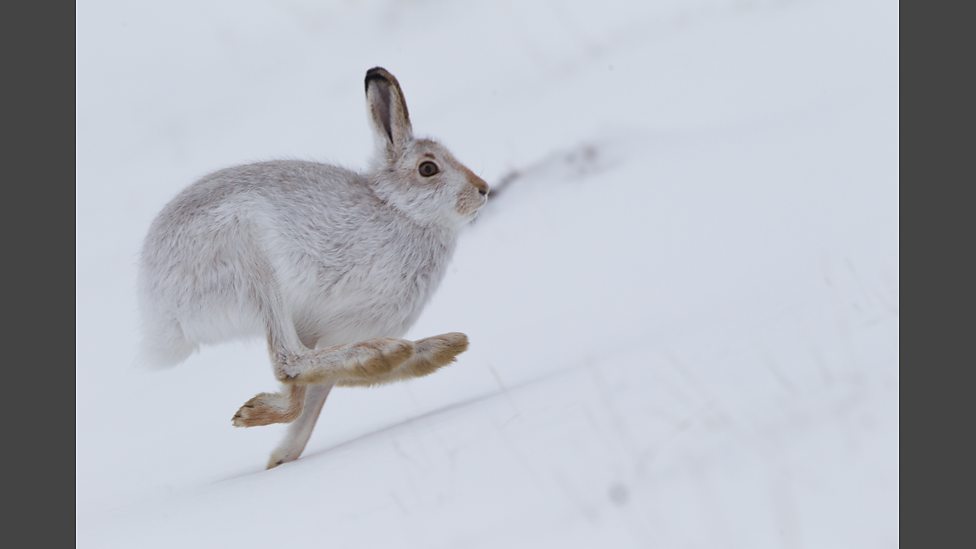 BBC - The Countryfile Calendar Photographs - November