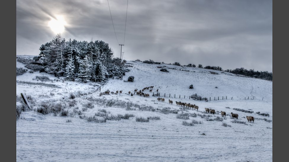 BBC - North East weather picture gallery - Clouds, snow and sheep at ...