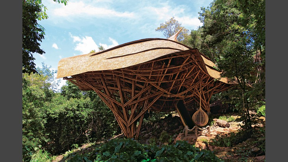 BBC Radio 4 - Open Book, Julian Barnes - Keeping an Eye Open, Improbable Libraries - Improbable ...