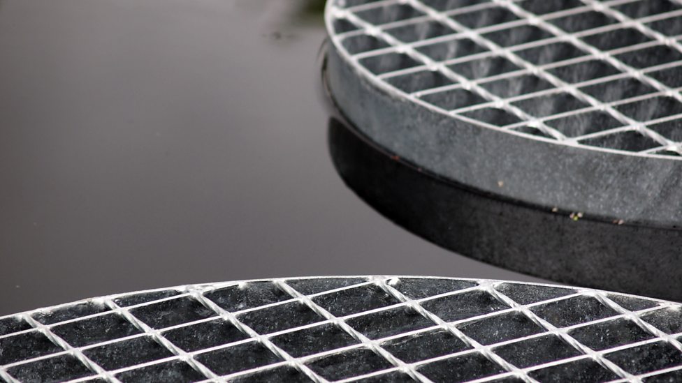 BBC Two - RHS Flower Show Tatton Park, 2015, Water gardens - Maggie's ...