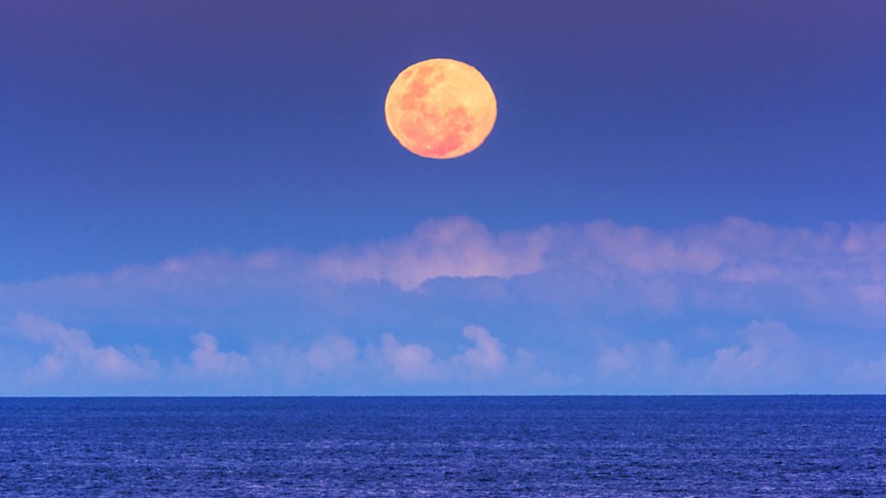 BBC Four - The Sky at Night, Cosmic Blasts, Your images: August 2015 ...