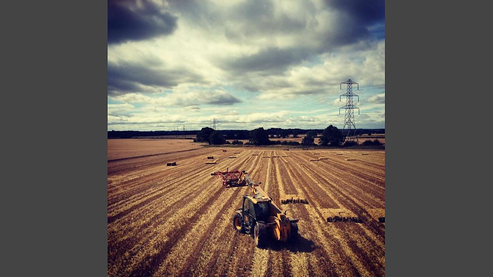 BBC Radio 4 - Farming Today, Your harvest photos 2015 - Yorkshire farm ...