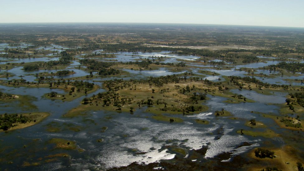 BBC Two - Earth's Greatest Spectacles, The wildlife of Earth's Greatest ...