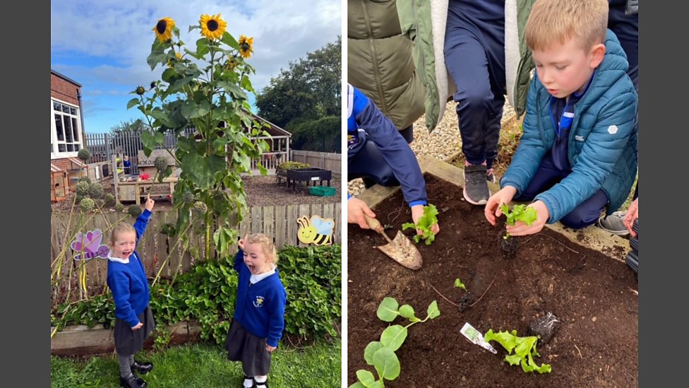 BBC - Gardening for Schools, Series 1, Little Green Fingers, Little ...