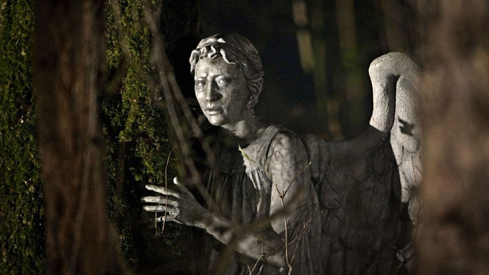 Weeping Angel Forest Weeping Angels The Doctor Who Group