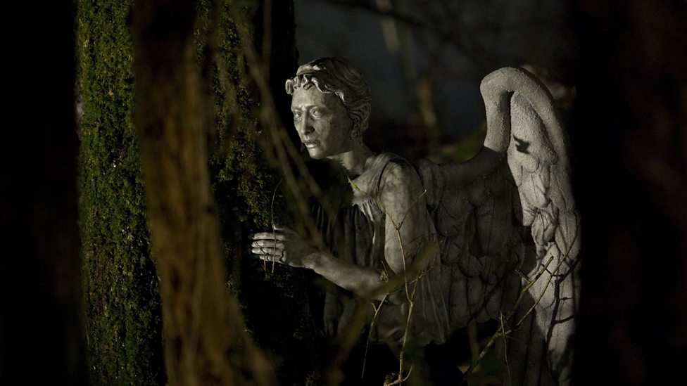 Weeping Angel Forest Weeping Angels The Doctor Who Group
