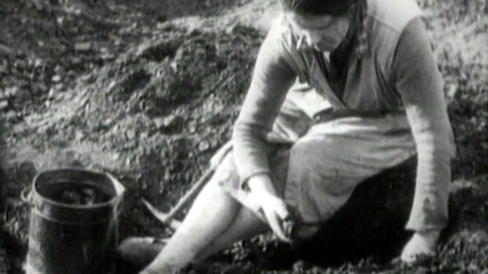 Hitler and Nazi Germany - National 5 History - BBC Bitesize