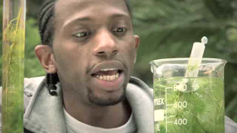 KS3 / GCSE Biology: Factors that affect germination - BBC Teach