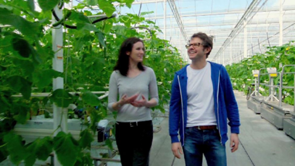 Maths KS2: Calculating food waste and the environmental cost - BBC Teach