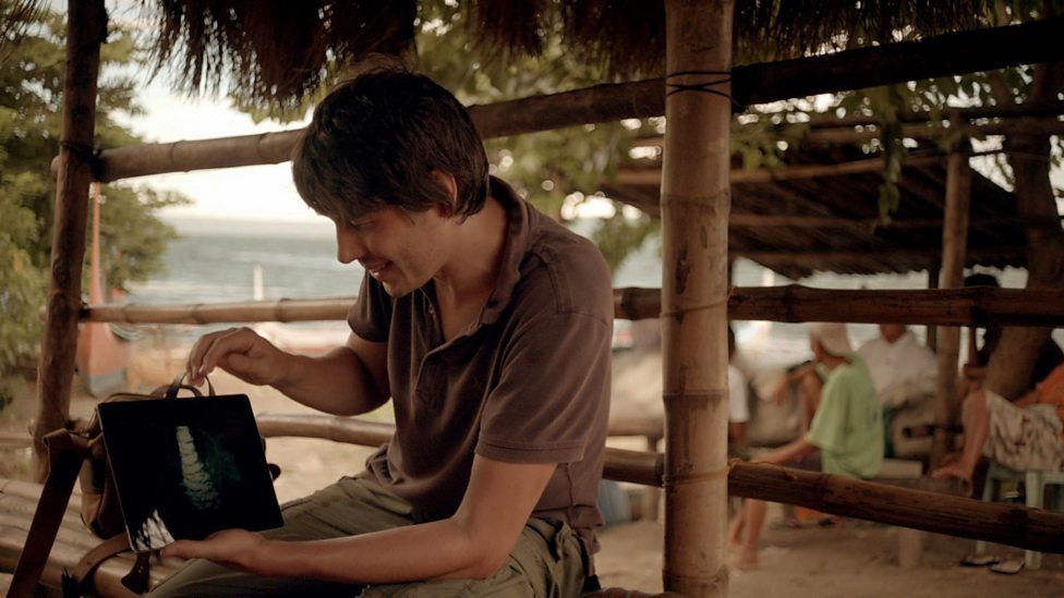 KS3 / KS4 Biology: Evolution of sight - BBC Bitesize