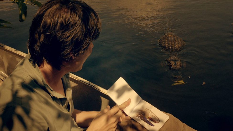 KS3 / KS4 Biology: Size and heat - BBC Teach