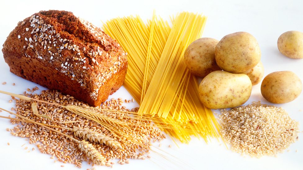 Human growth - Revise: Growth and development of different organisms ...