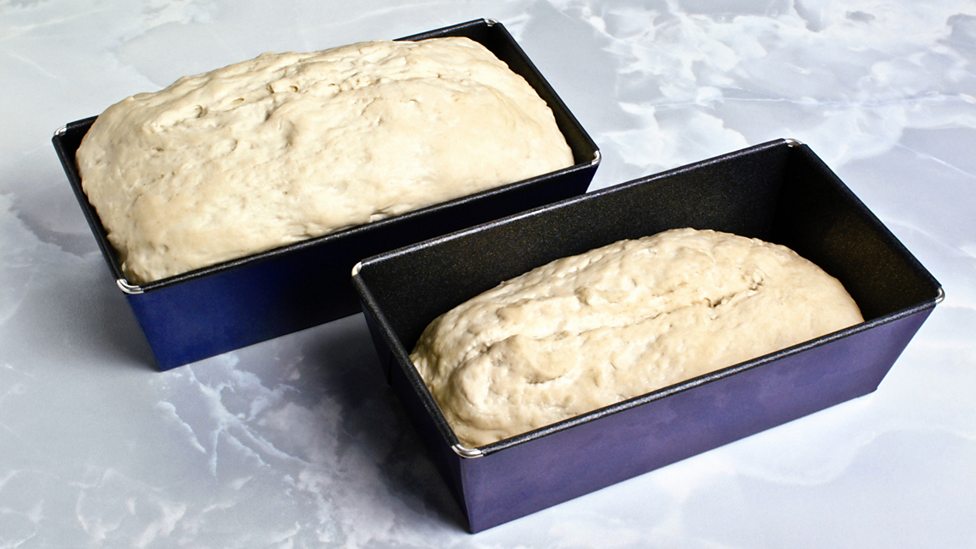 Microorganisms - Revise: Properties of microorganisms and use in ...