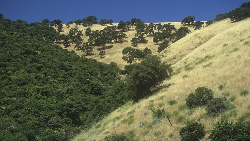 Examples of different types of biomes - Interdependency between animal ...
