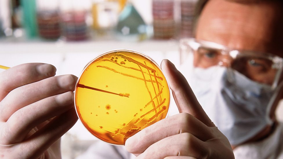 Bacterial growth in cultures - Treating, curing and preventing disease ...