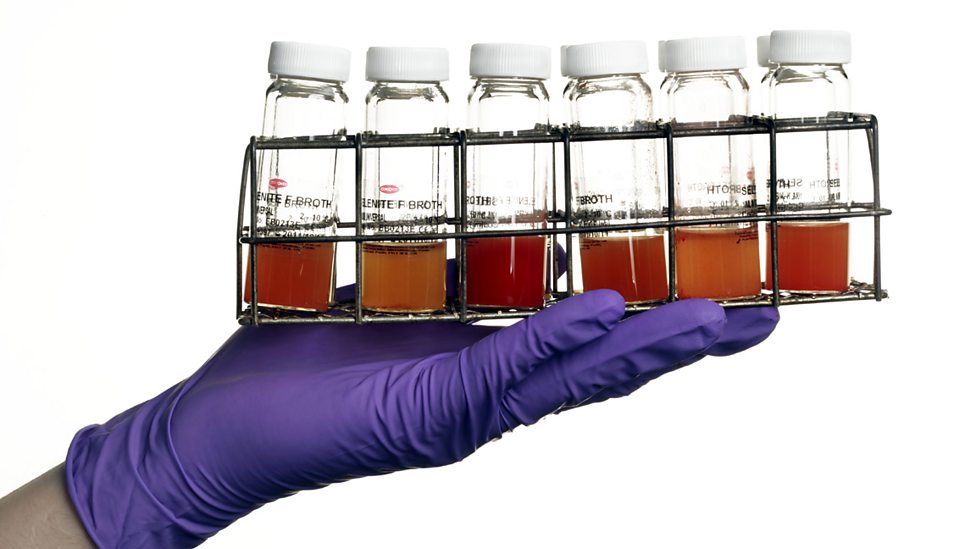 Bacterial growth in cultures - Treating, curing and preventing disease ...