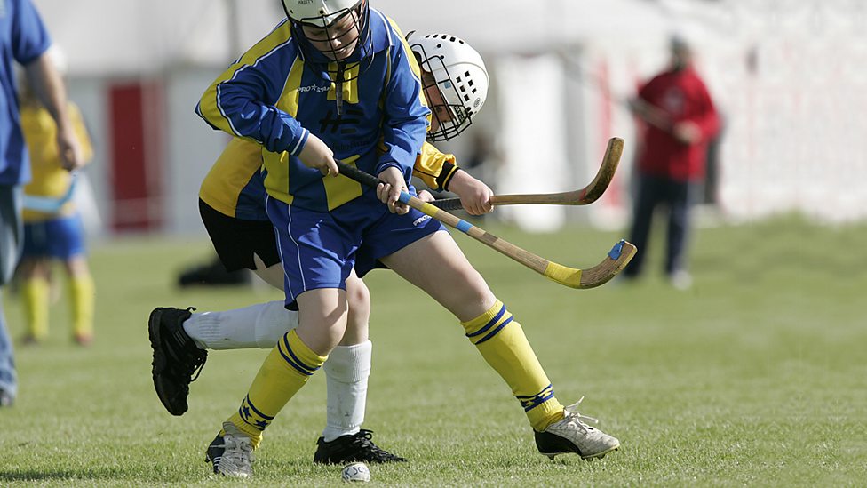 Reading - National 4 Gaelic (Learners) - BBC Bitesize