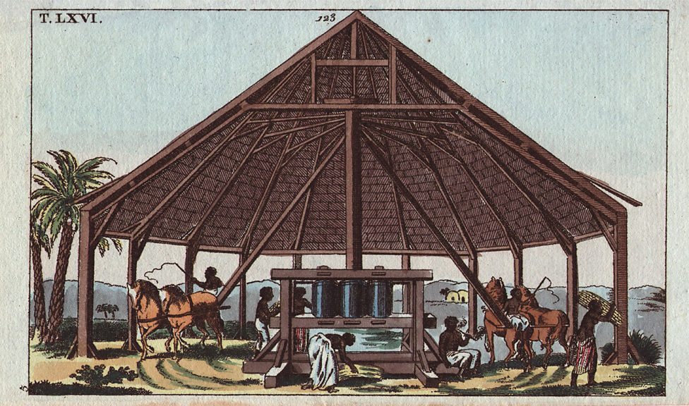 Trade in enslaved African people - National 5 History - BBC Bitesize