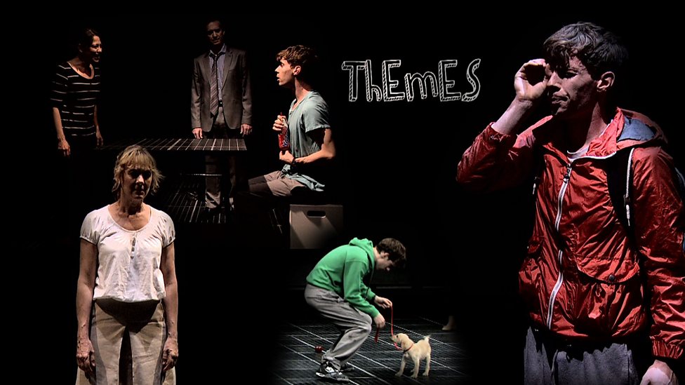 GCSE English Literature / Drama: Who is Christopher Boone? - BBC Bitesize