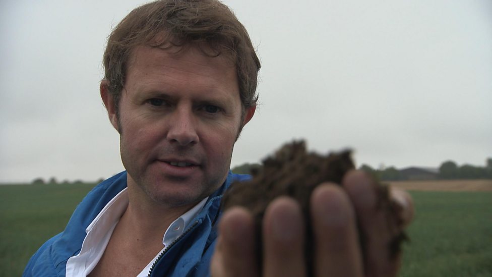 Biology KS3 / KS4: The science of ripening and seed dispersal - BBC Teach