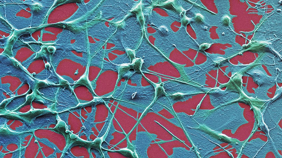 Higher tier: The effects of radiation on the human body - The dangers ...