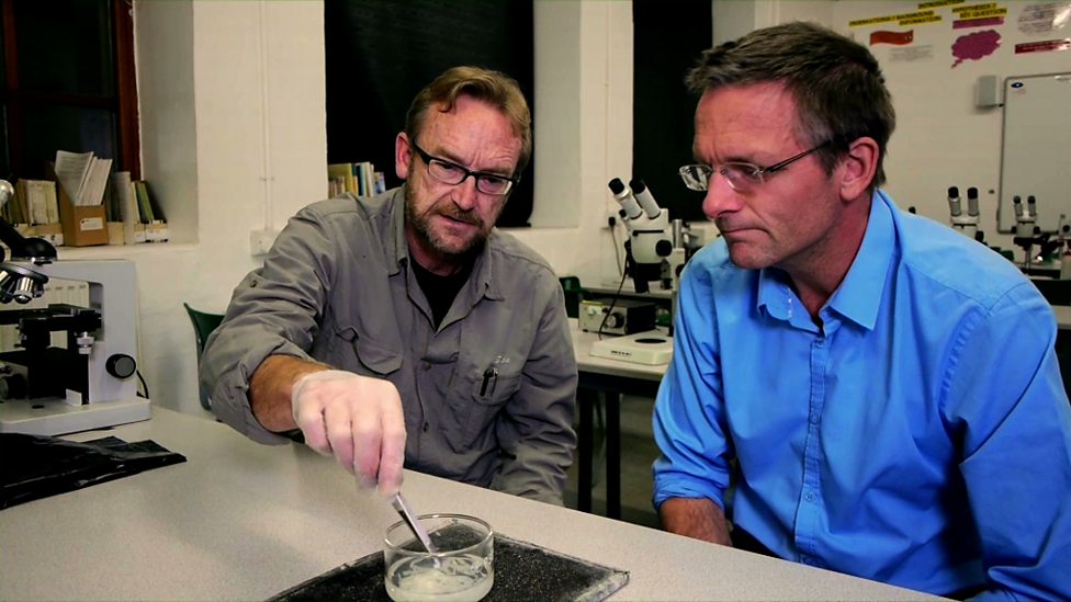 Michael Mosley - Infested! Living with parasites - BBC Teach