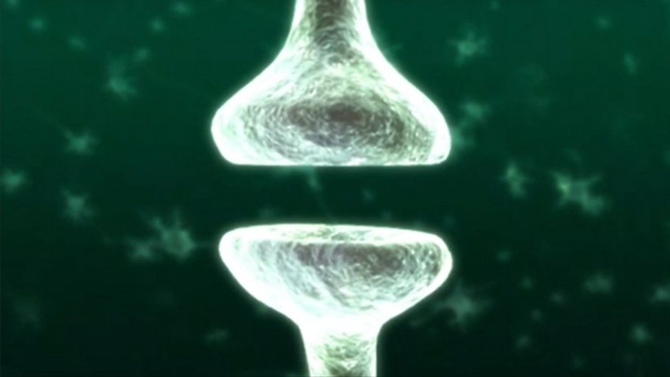 The human body - Staying alive - GCSE Combined Science - BBC Bitesize