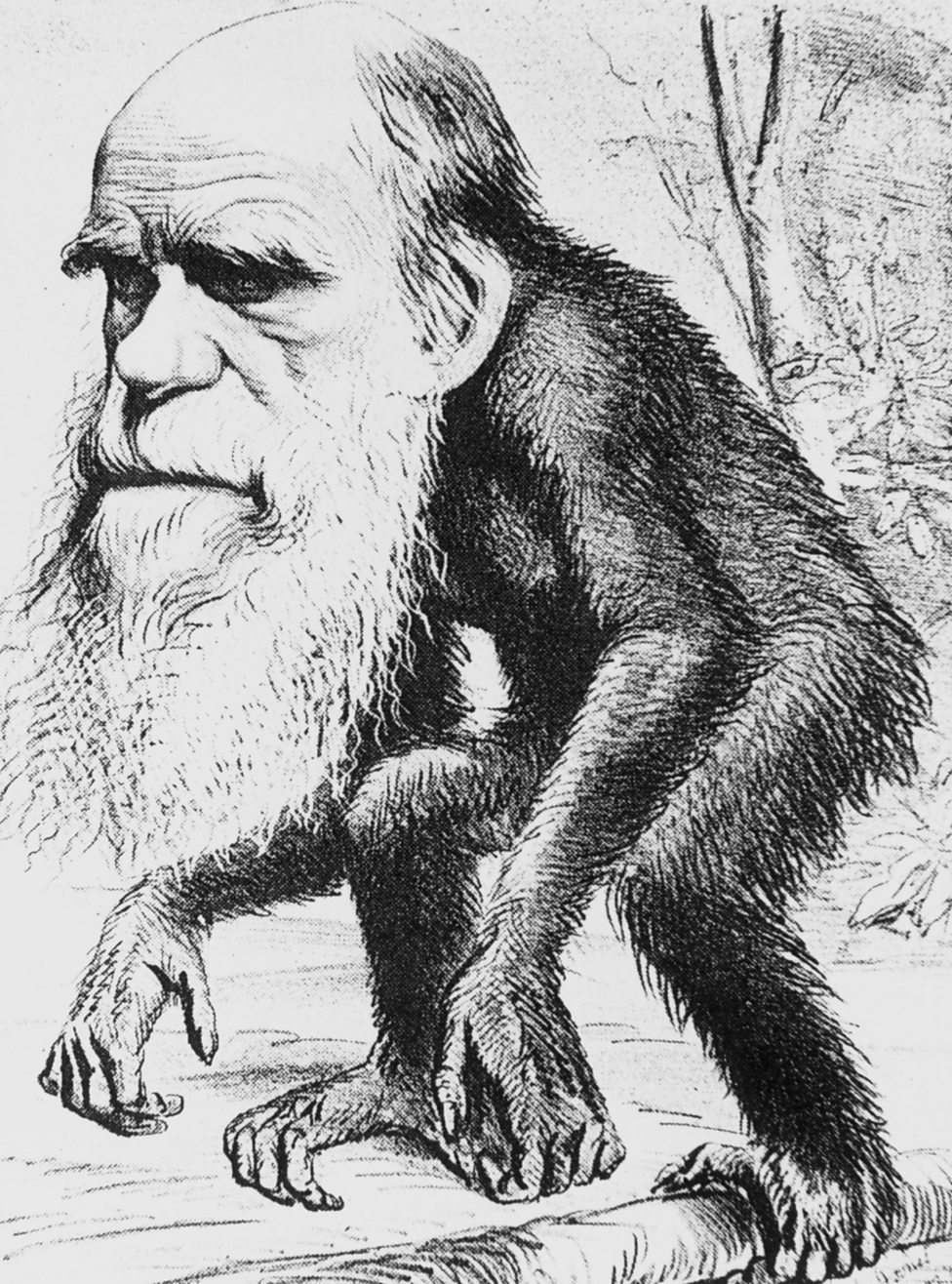 Charles Darwin: Evolution and the story of our species - BBC Teach
