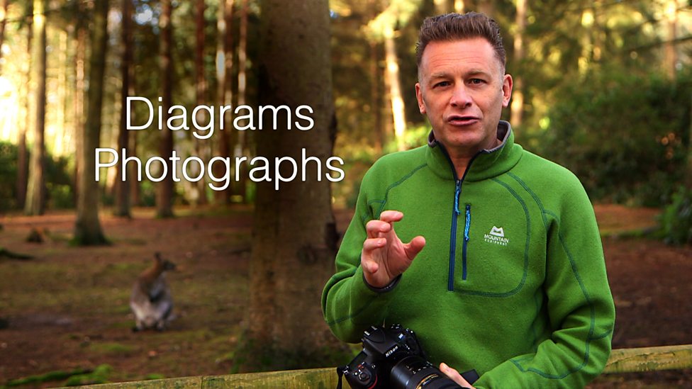 How to write clear instructions - BBC Teach