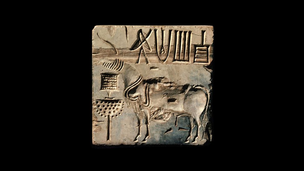 What was everyday life like in the Indus Valley? - BBC Bitesize