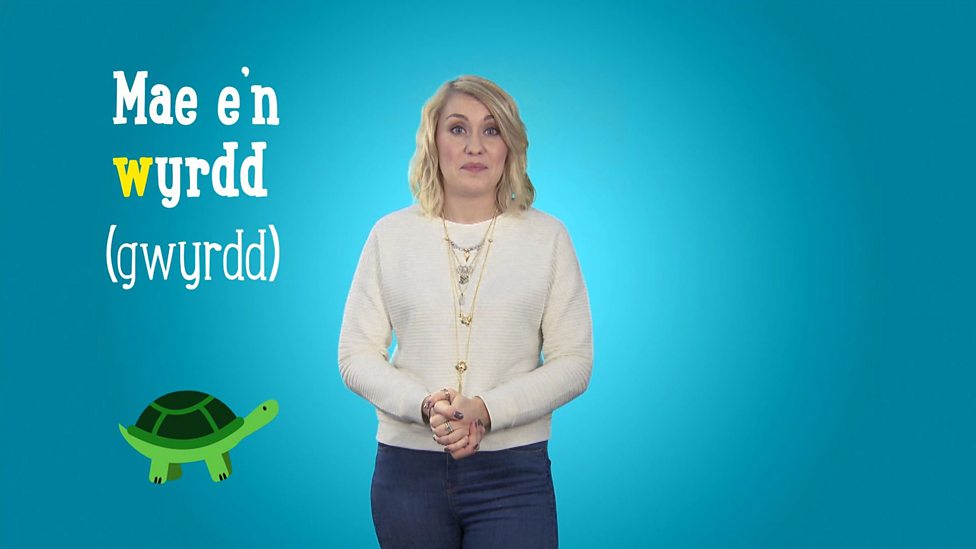 Grammar - GCSE Welsh Second Language (WJEC) - BBC Bitesize