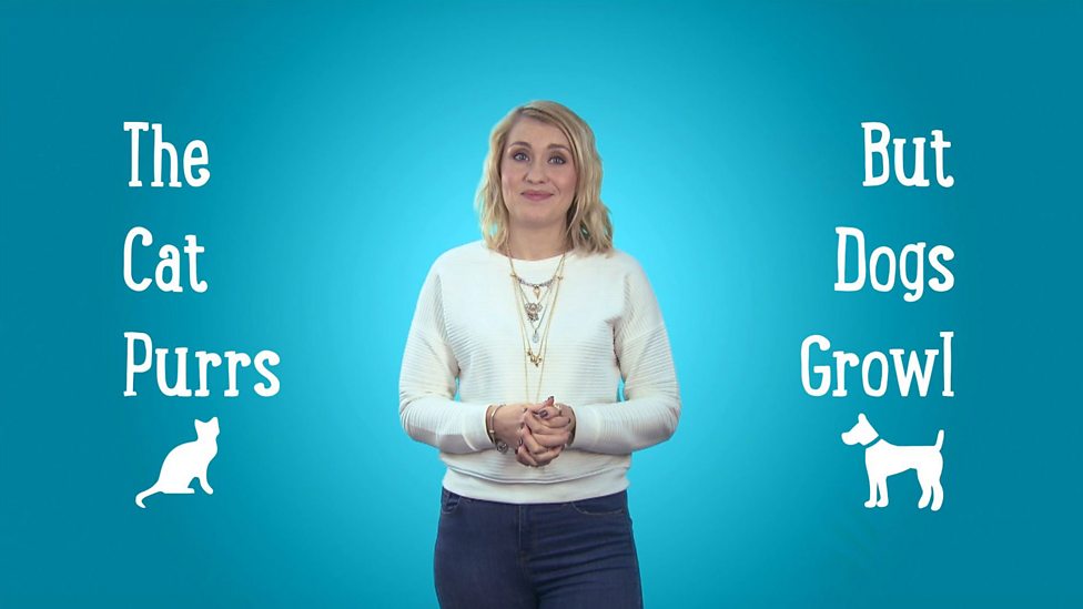 Grammar - GCSE Welsh Second Language (WJEC) - BBC Bitesize