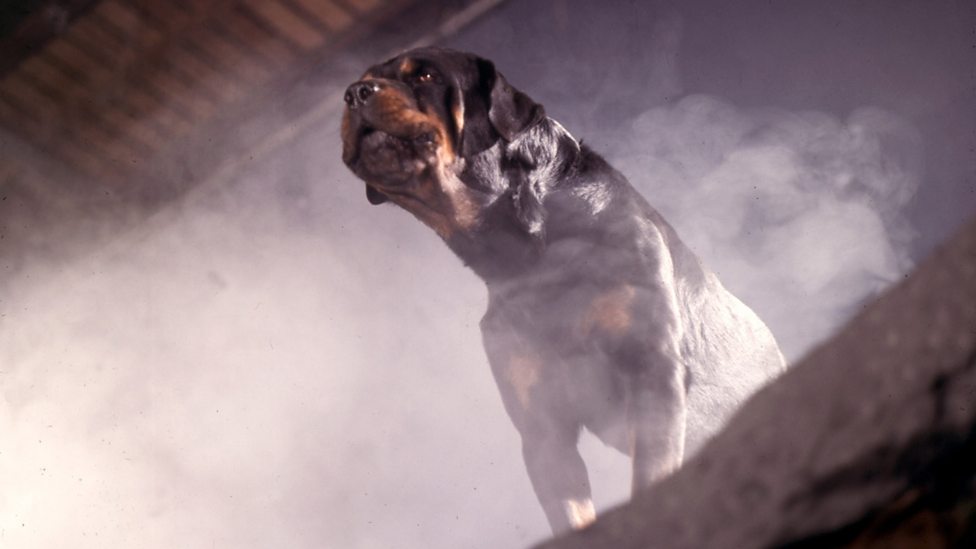 The Sign of the Four - GCSE English Literature - BBC Bitesize