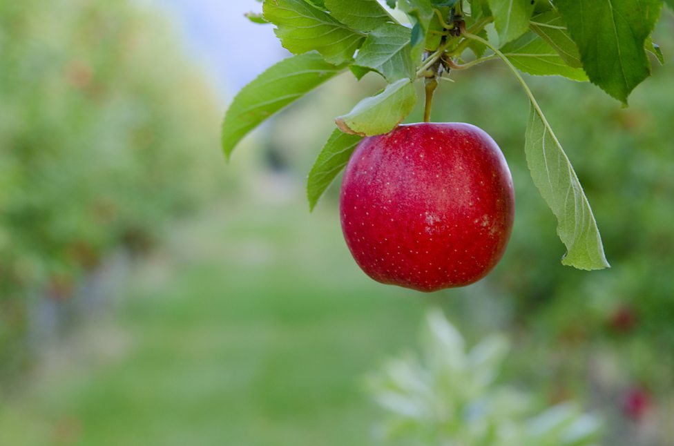 Edexcel poetry anthology - GCSE English Literature - BBC Bitesize