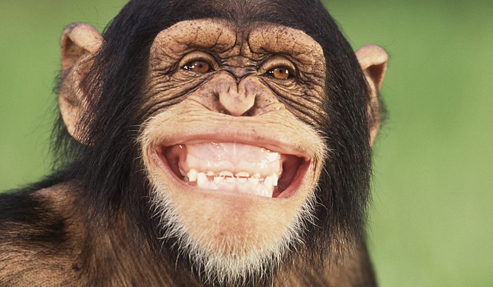 BBC Learning English - Course: intermediate / Unit 17 / Session 3 ...