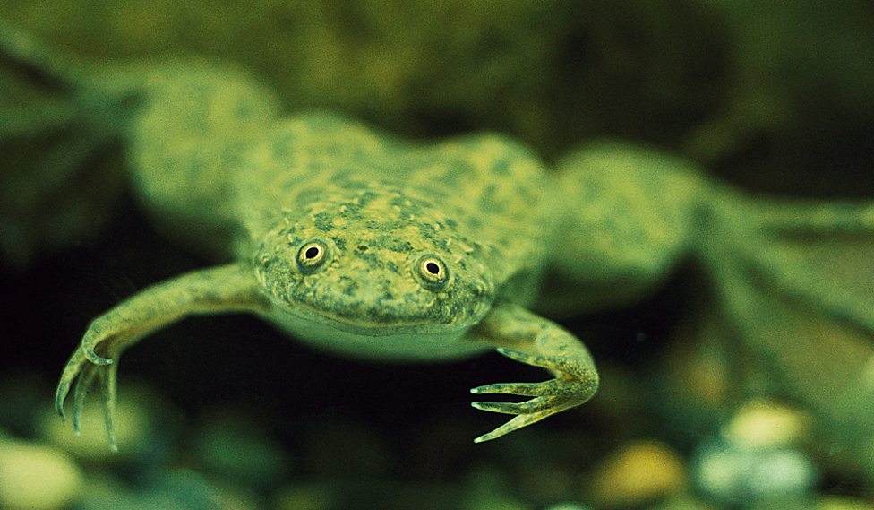 BBC Learning English - Course: intermediate / Unit 17 / Session 3 ...