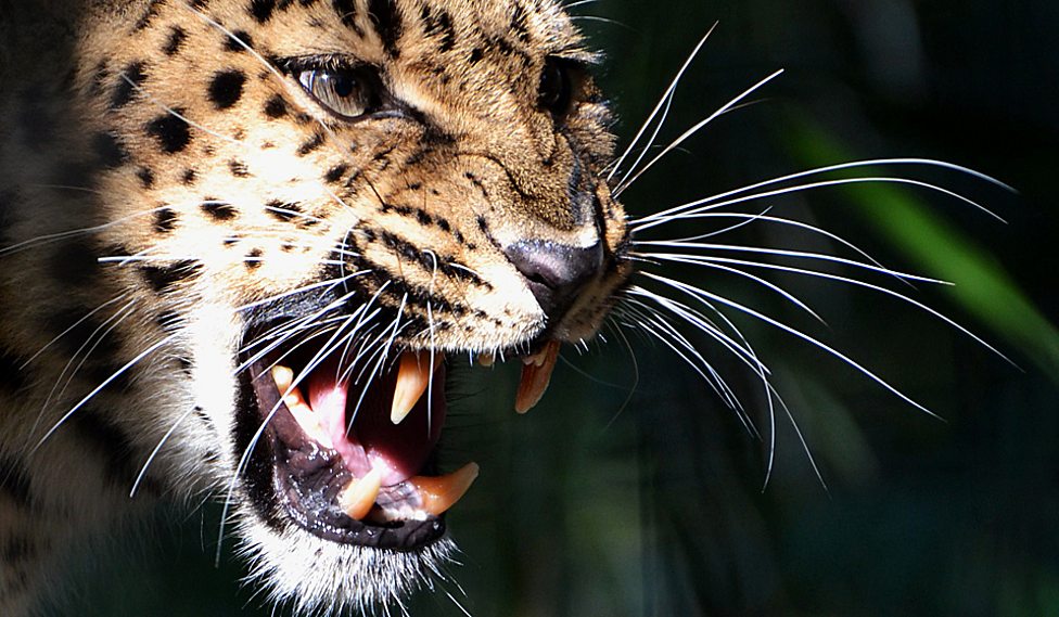 BBC Learning English - Course: intermediate / Unit 17 / Session 3 ...