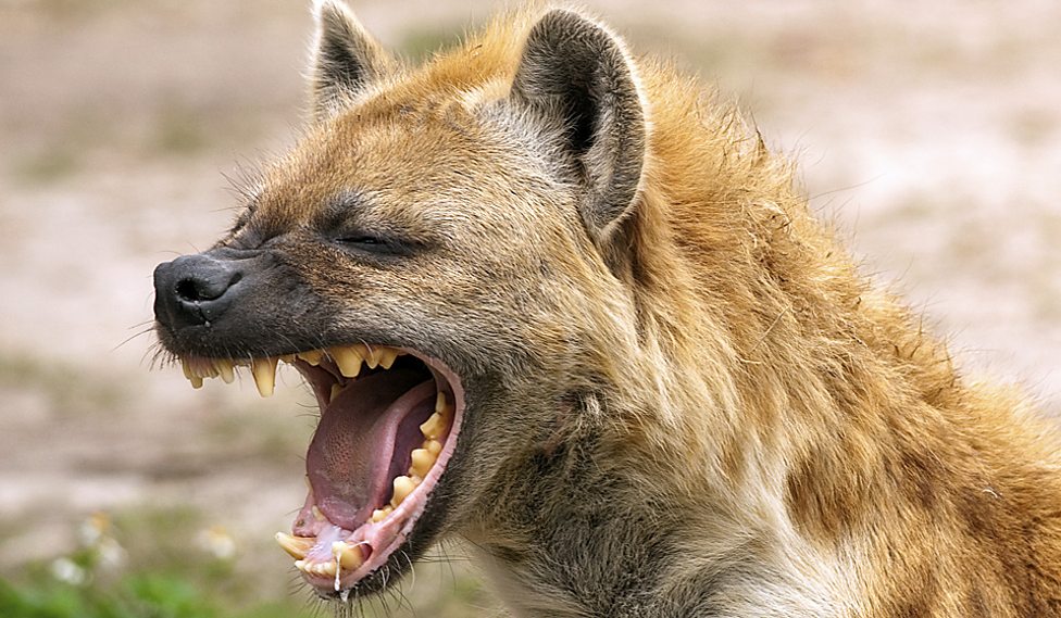 BBC Learning English - Course: intermediate / Unit 17 / Session 3 ...