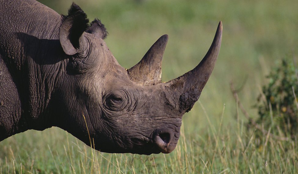 BBC Learning English - Course: intermediate / Unit 17 / Session 3 ...