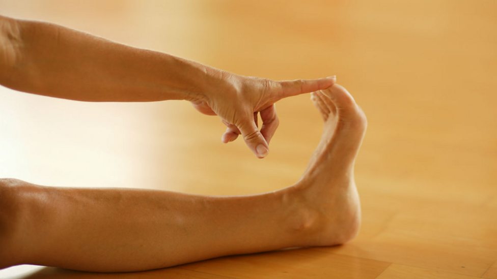 Types of joint movement - Skeletal system - AQA - GCSE Physical ...