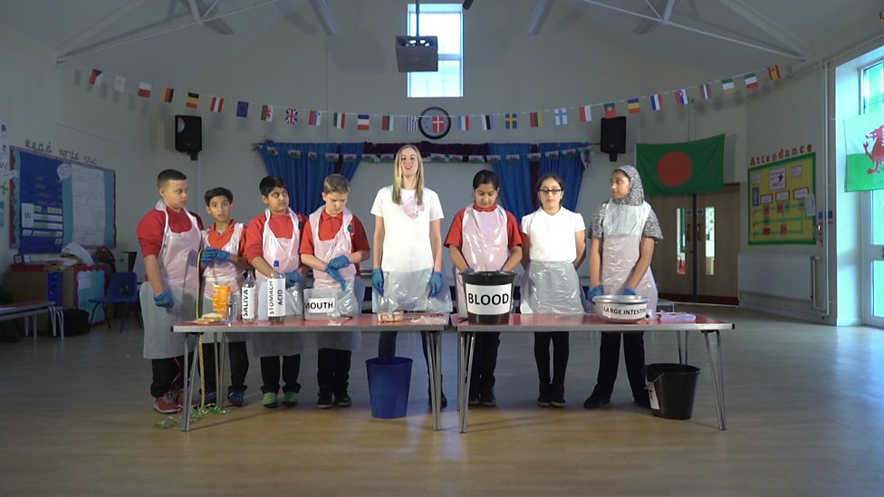 Breakfast staples from around the world - BBC Bitesize