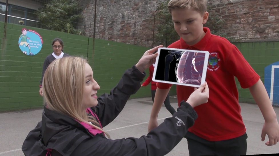 KS2 Science: How the human body grows - BBC Bitesize
