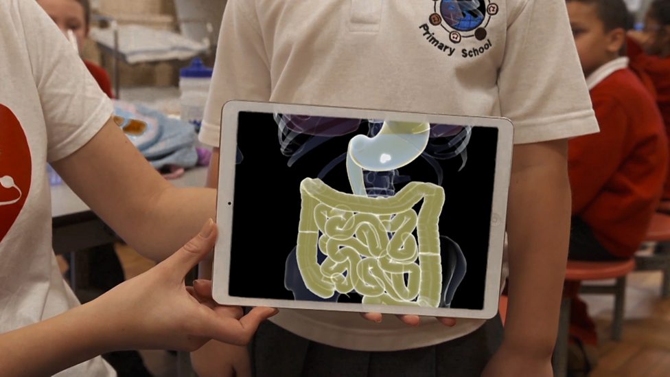 KS2 Science: Biological processes of the human body - BBC Teach